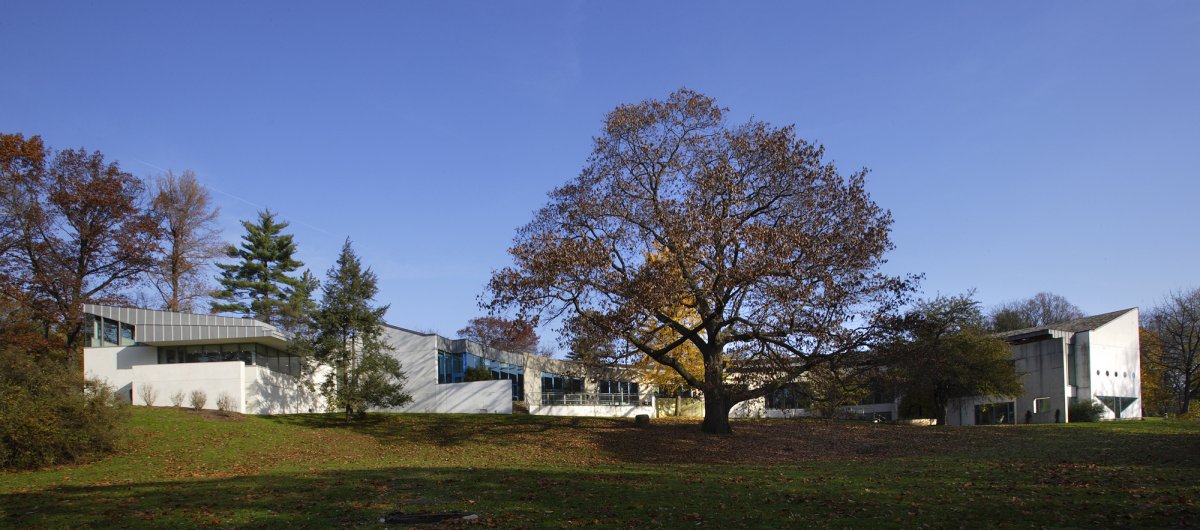 Tredyffrin Public Library | Newport Construction